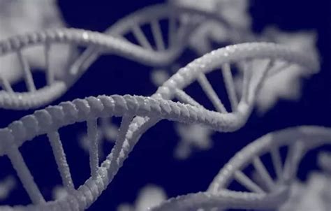 Why Is Genomics Key To The Future Of Preventive Healthcare Health