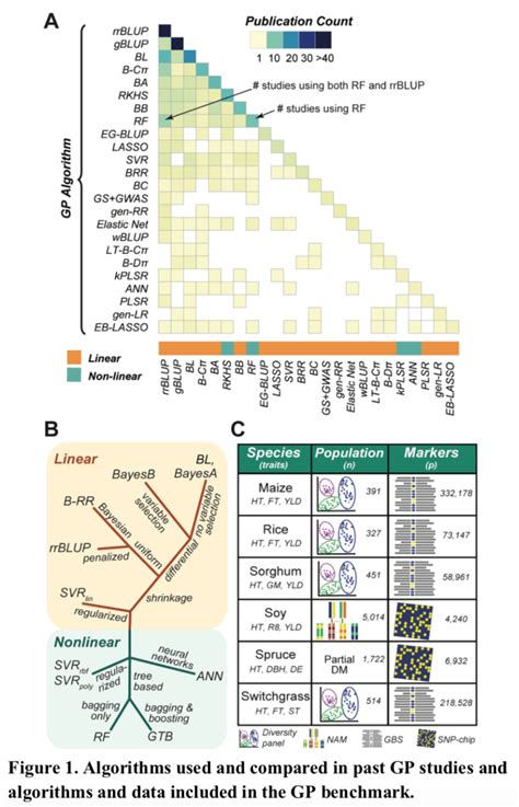 Information Processing L1 Vs Deep Learning In Genomic Prediction
