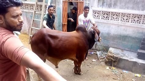 Khurrat Janwar Ki Qurbani Part 2 Youtube