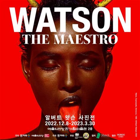 Watson The Maestro 알버트 왓슨 사진전 감도 깊은 취향 셀렉트샵 29cm