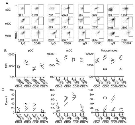 Expression Of Markers Of Activation On Stimulated Lymph Node Pdc Mdc