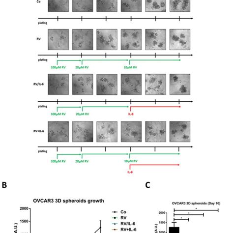 Resveratrol Maintains Constant The Dimensions Of 3d Ovarian Cancer Download Scientific Diagram