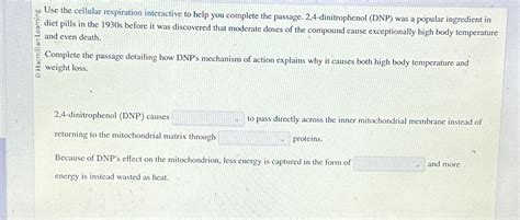 Solved As Use The Cellular Respiration Interactive To Help Chegg