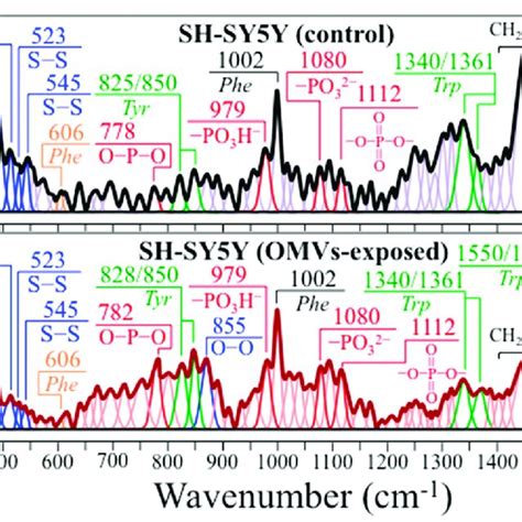 A Raman Spectra In The High Frequency Wavenumber Interval 2700~3200