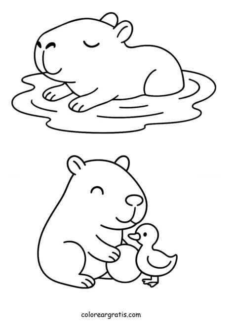 Colorear Capibara Imprimir Descargar E Imprimir Dibujo