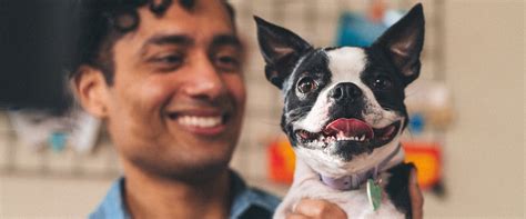 Dé 5 tofste hotels waar honden zijn toegestaan van België
