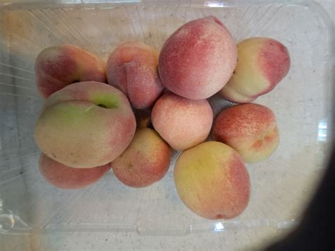 단단한 복숭아 900g 배민 장보기∙쇼핑