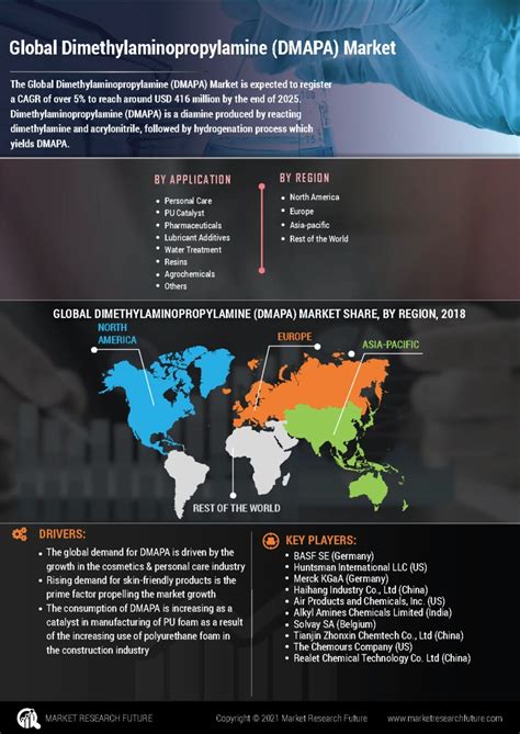 Dmapa Dimethylsminopropylamine Market Growth Overview