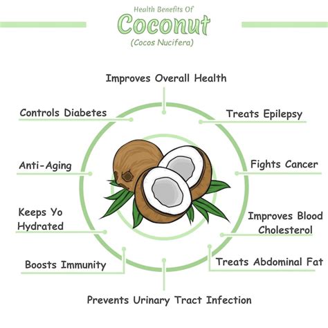 Beneficios Para La Salud Del Coco Vector Premium