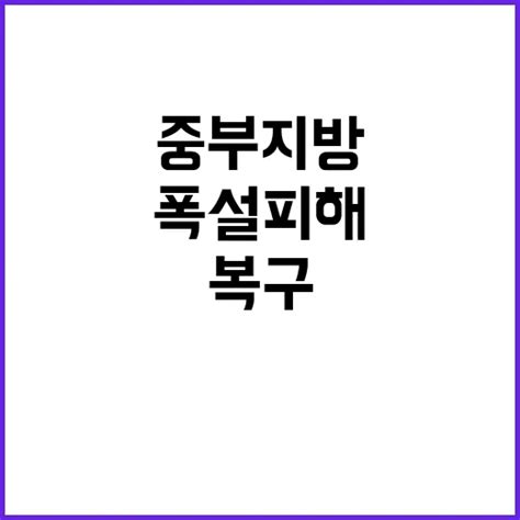 폭설 피해 중부지방 최선의 복구 방법 공개 커먼플레이스