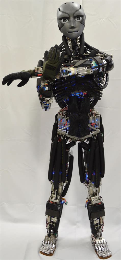 Cool Japanese Advanced Robots