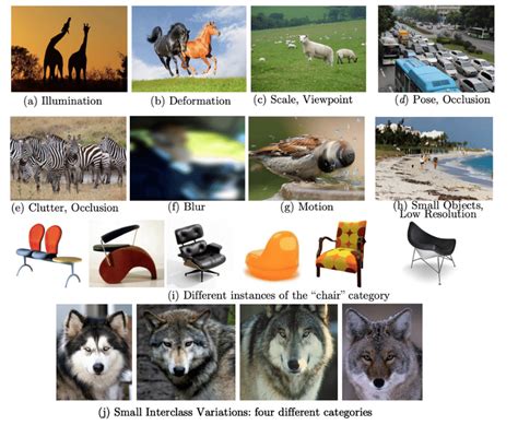 Challenges In Generic Object Detection 9 Download Scientific Diagram