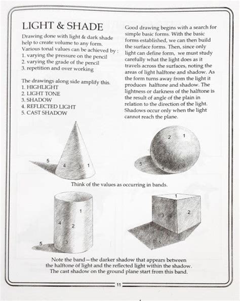 Learn Pencil Shading Birds Books And You