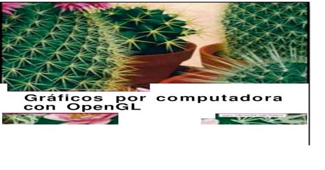 Graficos Por A Con Opengl Pdf Document