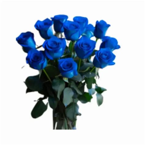Weston Pembroke Pines Plantation Fl Florist Art Of Flowers Weston