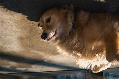 Opencv Python Cheat Sheet From Importing Images To Face Detection Fritz Ai