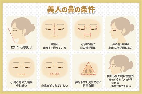 キレイな鼻はどんな形美人の鼻の条件とは 公式コラム 美容整形二重整形なら共立美容外科