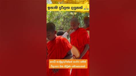 ඉතා දුර්ලභ දසුනක් සිත නිවුණු මොහොතක් පොඩි හාමුදුරුවෝ Shorts Youtube