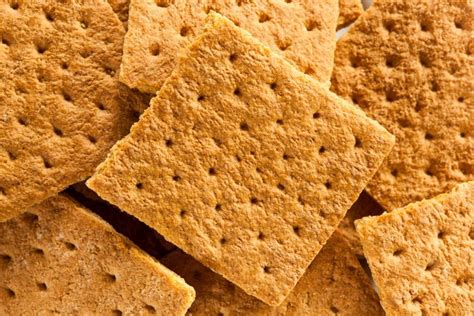 The Bizarre History Of The Graham Cracker Will Make You Never Want One
