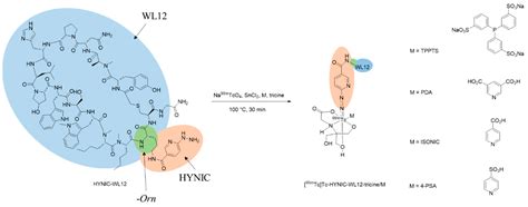 Application of 99mTc-Labeled WL12 Peptides as a Tumor PD-L1-Targeted ...