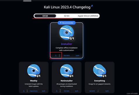 Linux Kali下载安装教程kali Linux下载 Csdn博客
