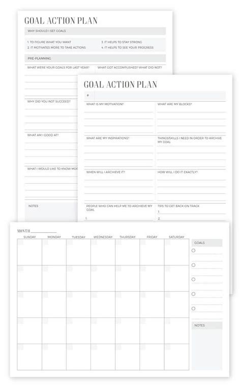 The Goal Action Plan Is Shown In Two Separate Sections One For Each
