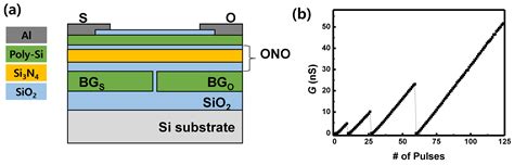 Investigation Of Deep Spiking Neural Networks Utilizing Gated Schottky