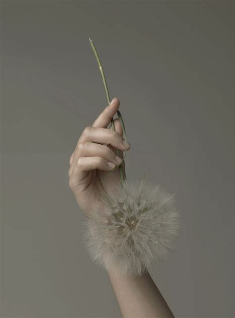 Evelyn Bencicovas Tender Portraits Of Womanhood Capture The Soul Of