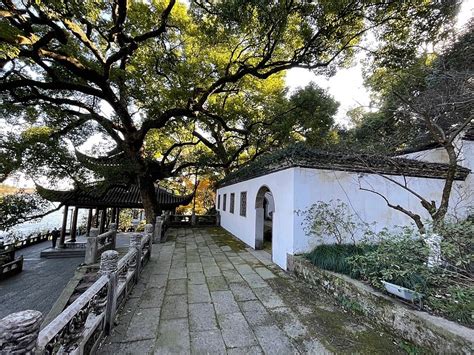 追寻西湖历史名人印迹之30，林逋 为了写北宋诗人林逋，几天前，我在西湖孤山寻访这位被称为诗坛奇人遗址时，却无意中在孤山东北角发现了一个叫“林净