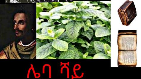 የሌባ ሻይ አስገራሚ ታሪክ Youtube