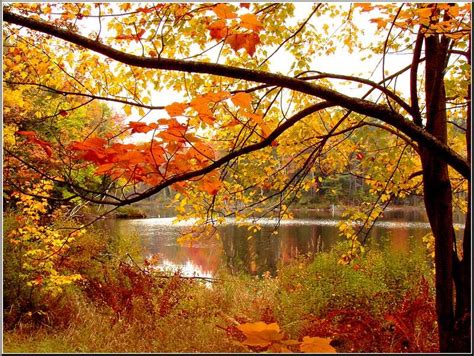 The Fall Equinox Approaches Naturalistic Paganism