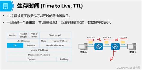 Tcpip协议中分包与重组原理介绍、分片偏移量的计算方法、ipv4报文格式报文重组分为哪些 Csdn博客