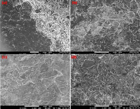 Surface Morphologies Of Bare And Coated Foils After Tribological
