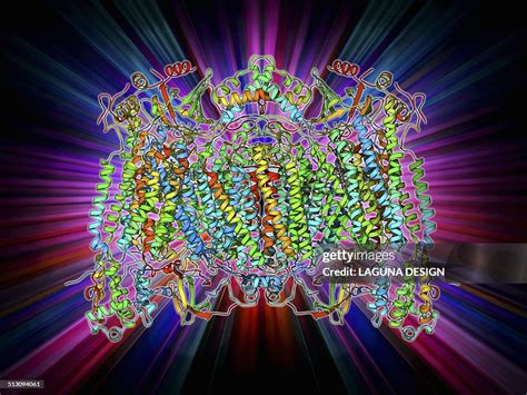 Cytochrome C Oxidase Molecule High Res Vector Graphic Getty Images
