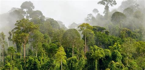 Klasifikasi Iklim Menurut Koppen Geograpik