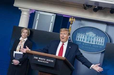 La Ineptitud De Trump Y Bolsonaro Argentina Municipal