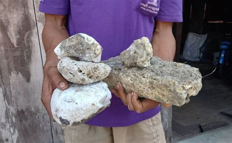 ဝေလငါးအန်ဖတ်များကို တွေ့ရှိခဲ့ပြီးနောက် အလွန်ကံကောင်းသူတစ်ဦးအဖြစ် ချီးကျူးသတ်မှတ်ခံနေရတဲ့ ထိုင