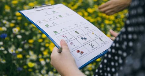 Widgit Symbol Resources Grow Your Own Wildflowers