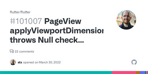 Pageview Applyviewportdimension Throws Null Check Operator Used On A