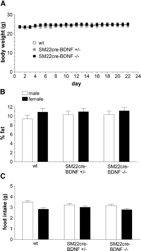Body Weights Of Male And Female Mice Of All Genotypes Generated There
