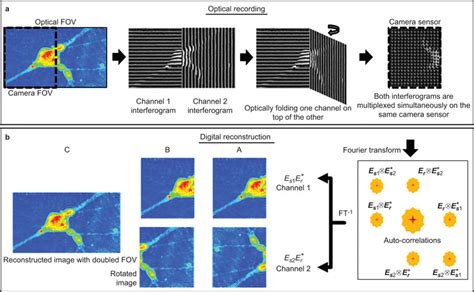 The Idia Principle A Optical Recording Dual Image Off Axis Download Scientific Diagram