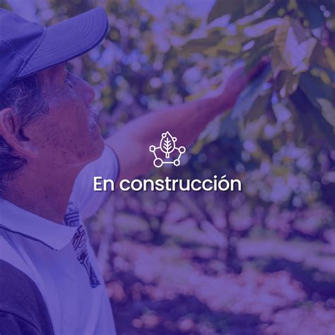 Kit De Herramientas Academia De Carbono