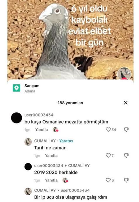 6 Yıldan Bu Yana Güvercini Kayıp Olan Adamın Bir Sözü Türkiyeyi Hüngür