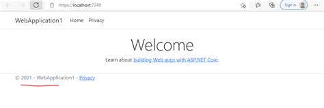 runtime compilation does not work with scoped css · issue 41193