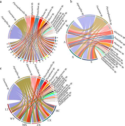 Species Composition Chord Diagram A Species Chord Diagrams In