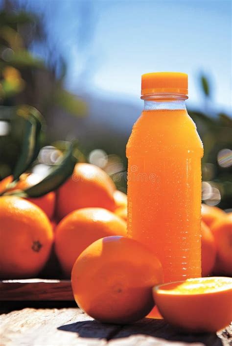 Freshly Squeezed Orange Juice Bottle Surrounded by Whole and Halved ...