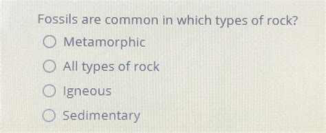 Solved Fossils Are Common In Which Types Of Chegg Com