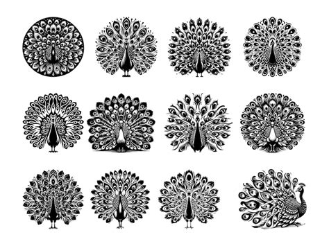 Peacock Svg Bundle Peacock Feather Svg Peacock Mandala Svg Peacock