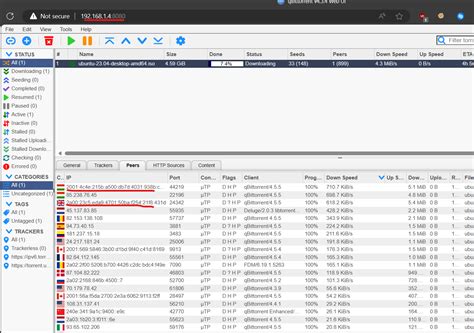 Assigning Ipv6 Directly From The Primary Router To Docker Containers Using Macvlan