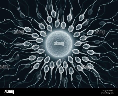 Sperm Art Telegraph